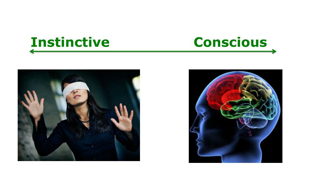 PPT - The 5 Domains of Play Motivational Ergonomics Jason VandenBerghe ...