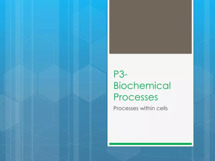 PPT - P3- Biochemical Processes PowerPoint Presentation, free download ...