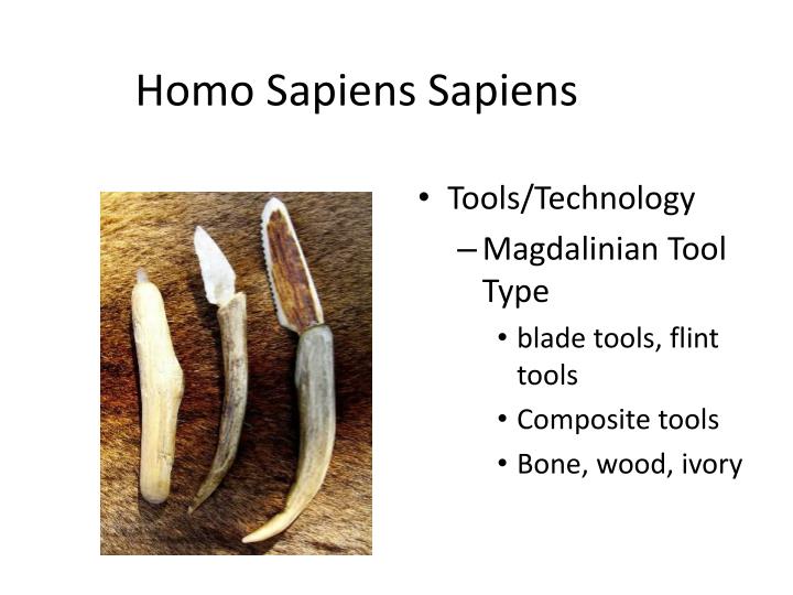 PPT - What is the difference between a primary and a secondary source ...