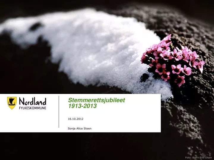 PPT - Stemmerettsjubileet 1913-2013 16.10.2012 Sonja Alice Steen ...