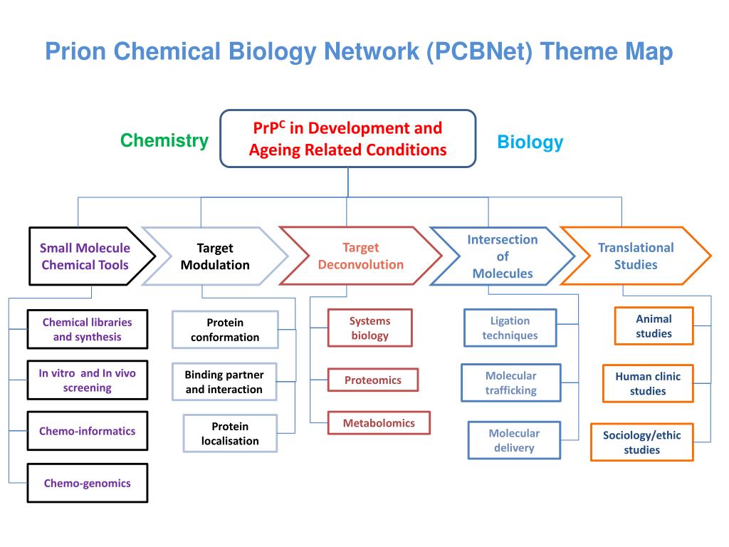 PPT - Prion Chemical Biology: Where we are and where we will go ...