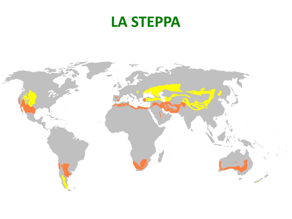 PPT - I biomi terrestri sono identificati dalla loro flora e fauna ...