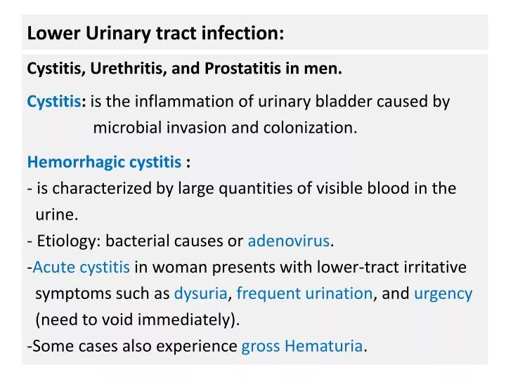 PPT - Lower Urinary tract infection: PowerPoint Presentation, free ...