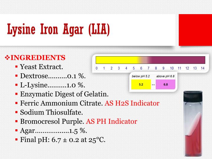 PPT - Single Media & Multiple Tests PowerPoint Presentation - ID:2043294