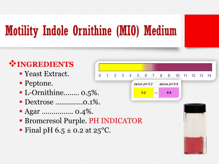 PPT - Single Media & Multiple Tests PowerPoint Presentation - ID:2043294