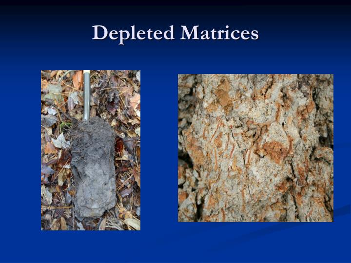 PPT - Field Indicators of Hydric Soils in the United States PowerPoint ...
