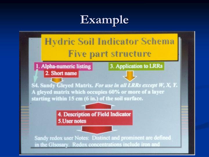 PPT - Field Indicators of Hydric Soils in the United States PowerPoint ...