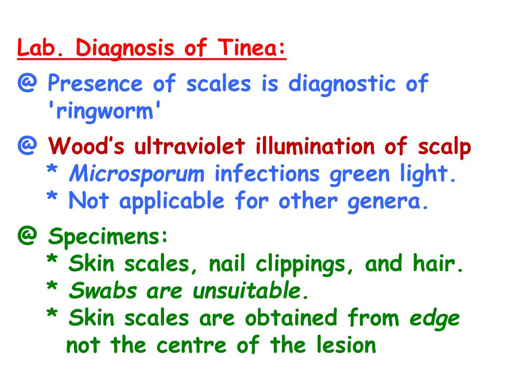 PPT - Tinea Infections Symptoms: @ Scaly lesions with raised margins ...