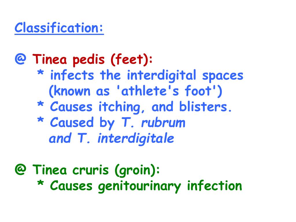 PPT - Tinea Infections Symptoms: @ Scaly lesions with raised margins ...