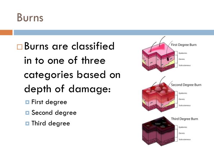 wikiaisociety - Blog