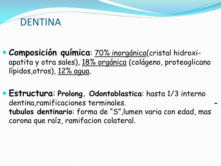 PPT - Histología y embriología dental PowerPoint Presentation - ID:2044194