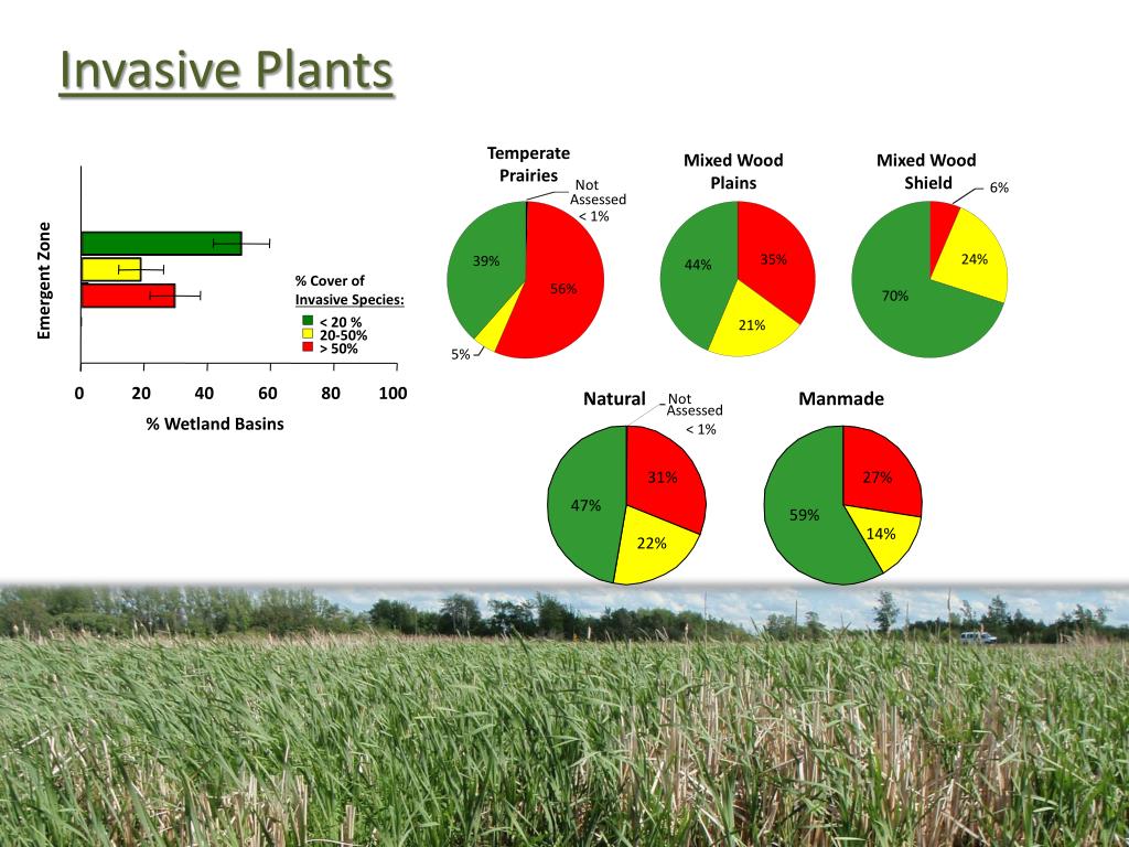 PPT - John Genet 6 th Annual Minnesota Wetlands Conference January 3 0 ...