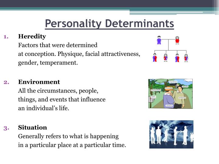 PPT - Personality PowerPoint Presentation - ID:2044656