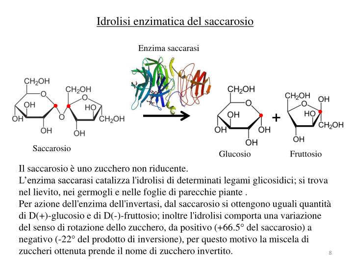 PPT - VI Esperienza laboratorio di Chimica organica 2013-2014 ...