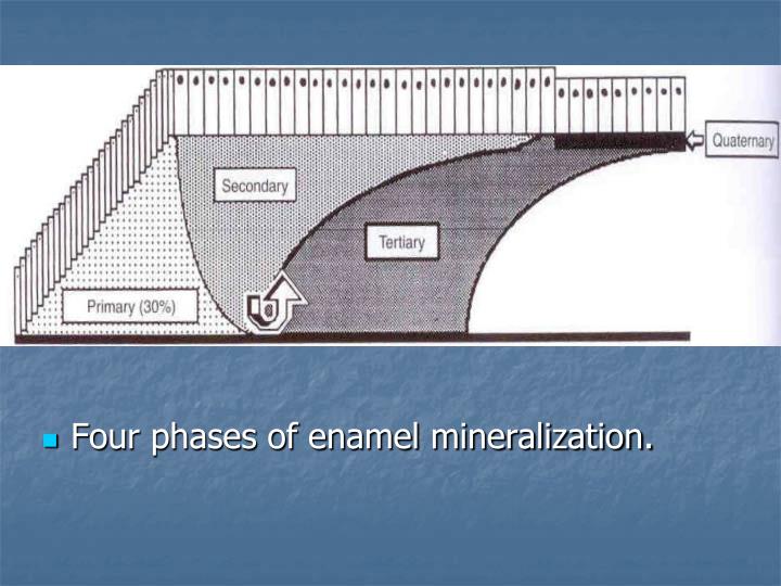PPT - Enamel : Composition , Formation , and Structure PowerPoint ...