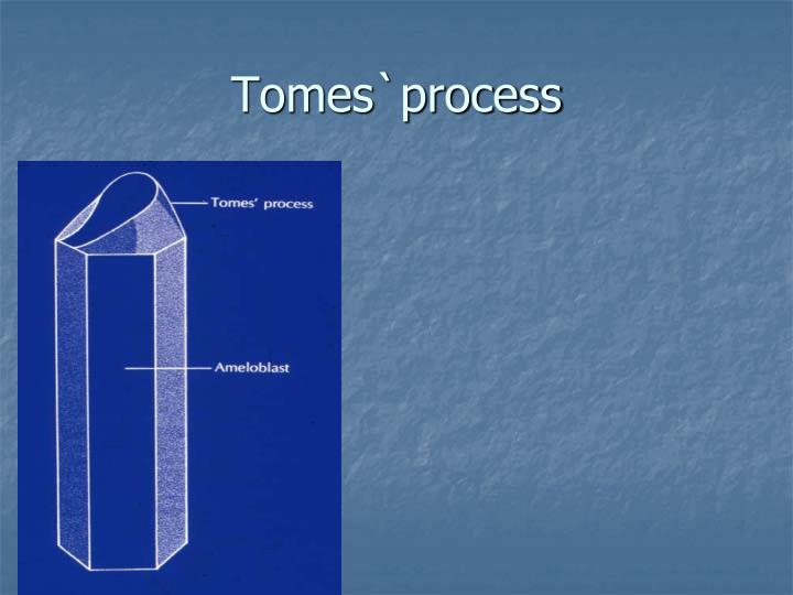 PPT - Enamel : Composition , Formation , and Structure PowerPoint ...