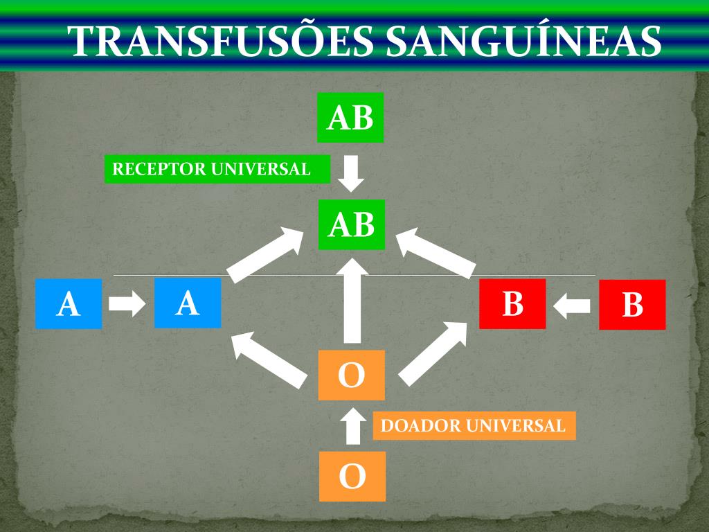 PPT - Sistema Circulatório PowerPoint Presentation, free download - ID ...