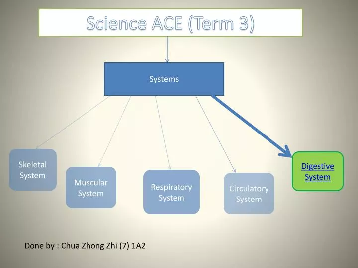 PPT - Science ACE (Term 3) PowerPoint Presentation, free download - ID ...