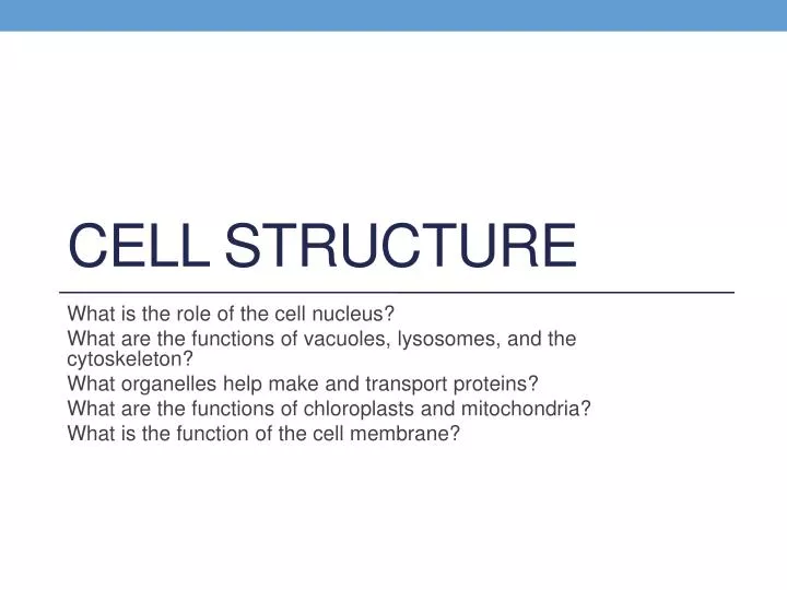 PPT - Cell Structure PowerPoint Presentation, free download - ID:2045086