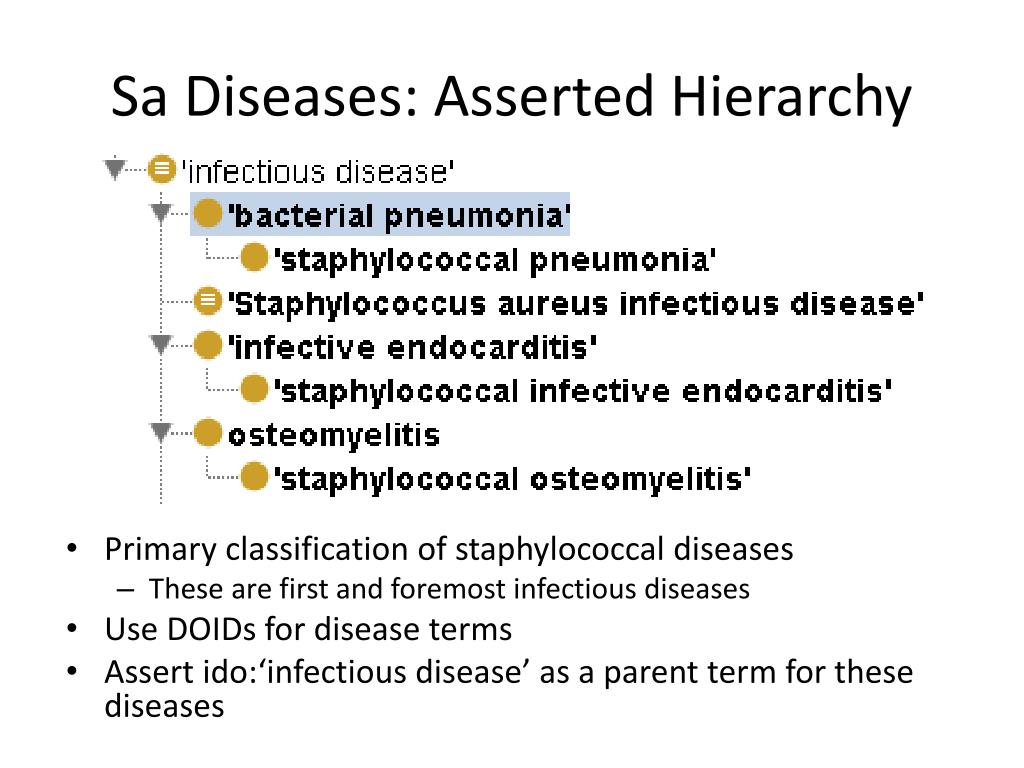 PPT - IDO-Staph: An IDO Extension for Staph aureus Infectious Disease ...