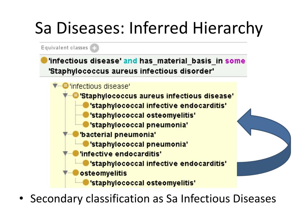 PPT - IDO-Staph: An IDO Extension for Staph aureus Infectious Disease ...