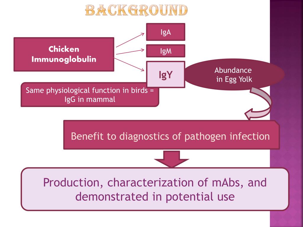 PPT - Production, Characterization and Use of Chicken IgY Monoclonal ...