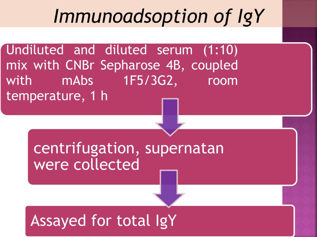 PPT - Production, Characterization and Use of Chicken IgY Monoclonal ...