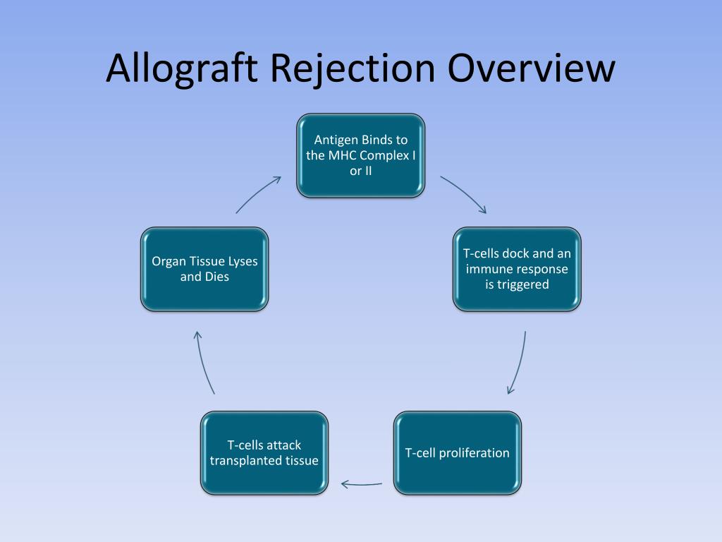 PPT - Transplant Rejection PowerPoint Presentation, free download - ID ... PPT - Transplant Rejection PowerPoint Presentation, free download - ID ...