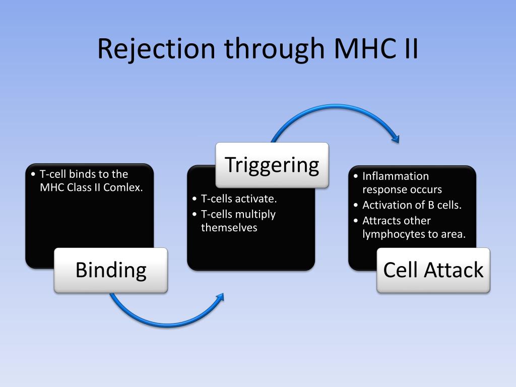PPT - Transplant Rejection PowerPoint Presentation, free download - ID ... PPT - Transplant Rejection PowerPoint Presentation, free download - ID ...