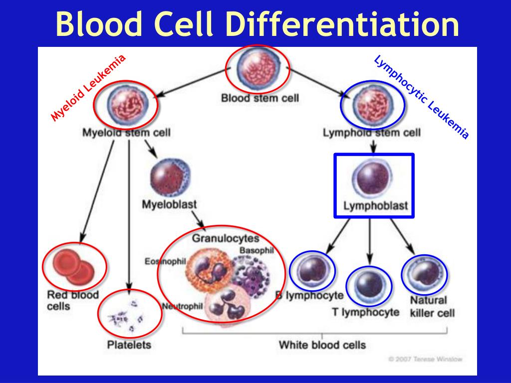 PPT - The Role of the RD in the Treatment of Pediatric Acute ...