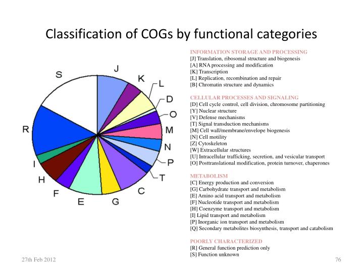 PPT - Functional Annotation PowerPoint Presentation - ID:2045721
