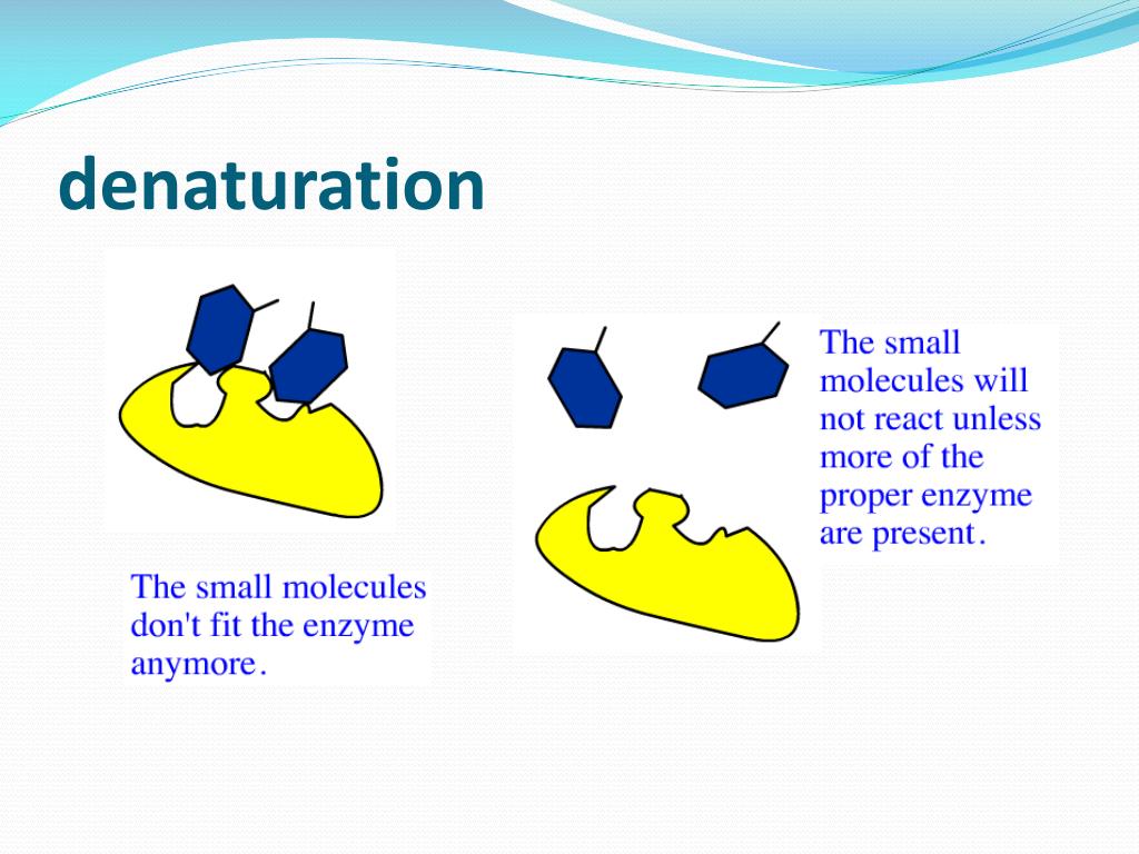Ppt Enzymes Powerpoint Presentation Free Download Id 2045802