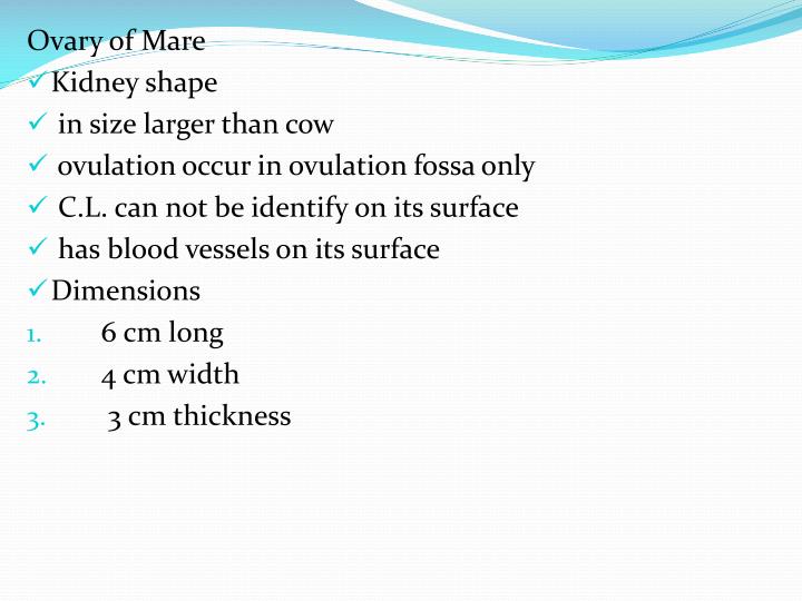 PPT - Comparative Anatomy of Female Reproductive System in Domestic ...