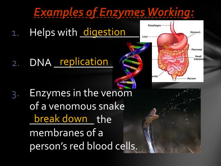 PPT - Basic Chemistry: PowerPoint Presentation - ID:2046035