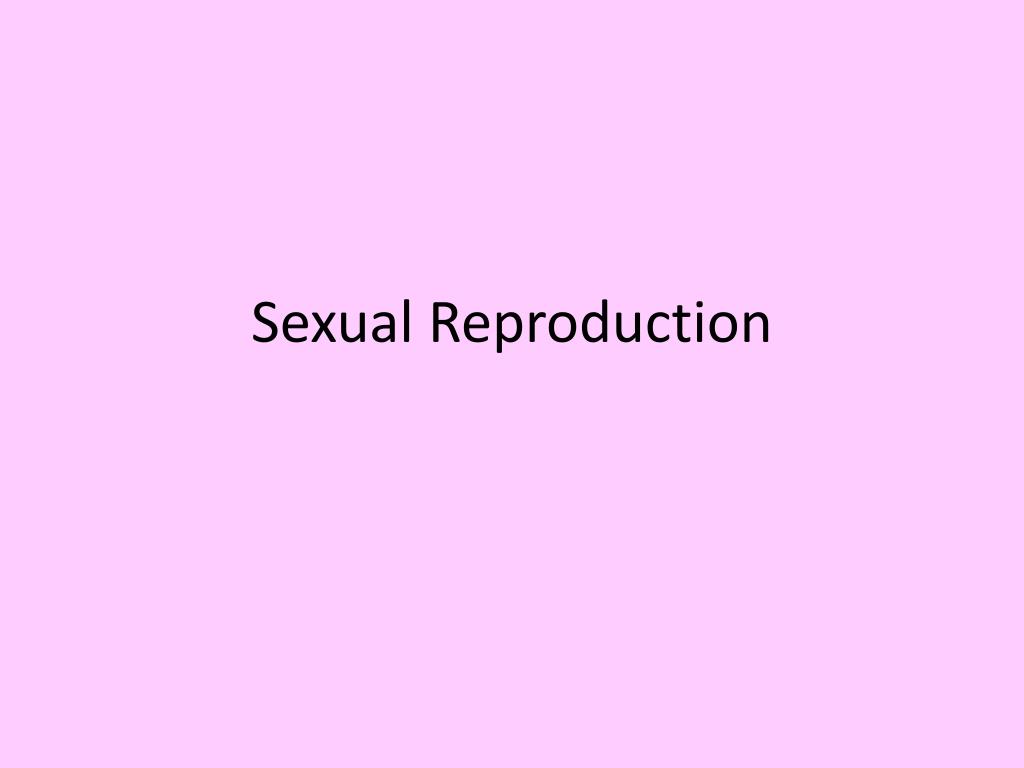 Ppt Sexual Reproduction Powerpoint Presentation Free Download Id