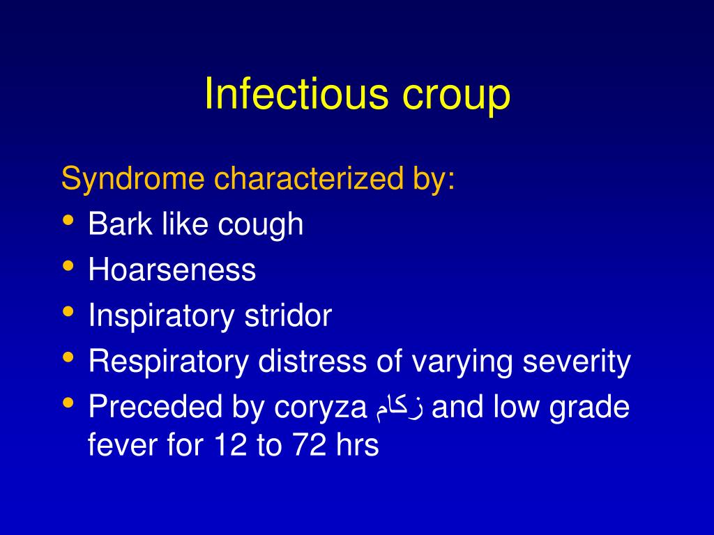 PPT - Lower Respiratory Tract Viral Infections`` PowerPoint ...