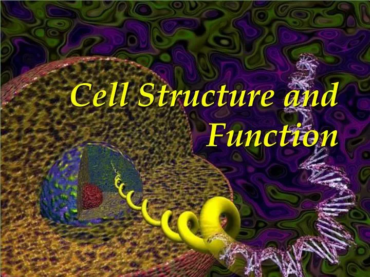 PPT - Cell Structure and Function PowerPoint Presentation, free ...