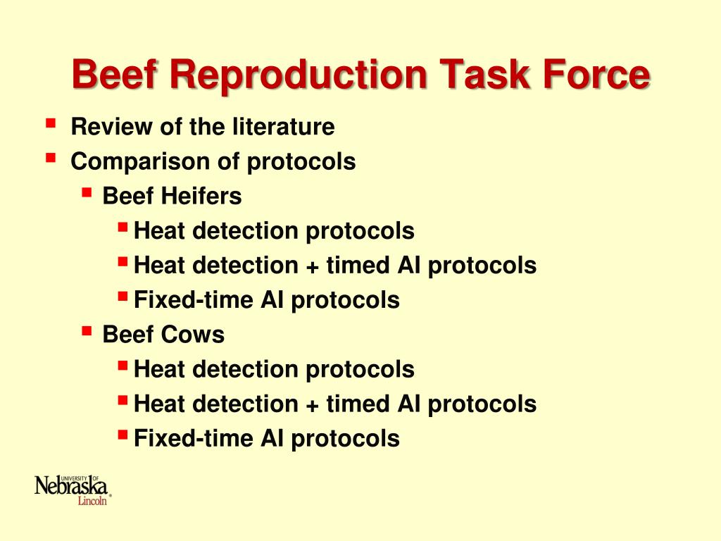 Ppt Reproductive Management In Beef Cattle Estrous Synchronization