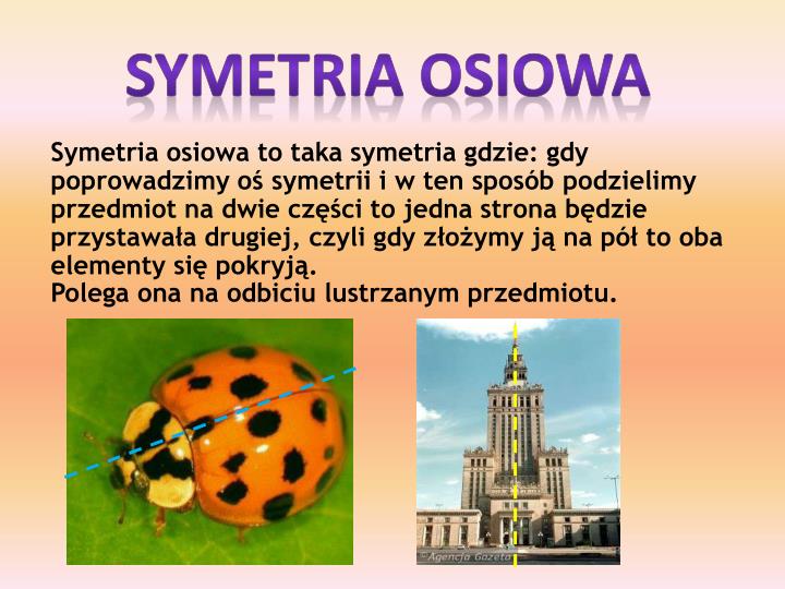 PPT - Symetria wokół nas PowerPoint Presentation - ID:2046781