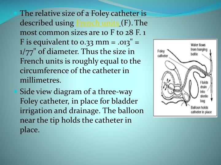 PPT - Foley catheter PowerPoint Presentation - ID:2047161