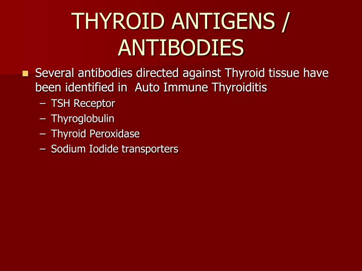 PPT - Thyroid Anatomy PowerPoint Presentation - ID:2047550