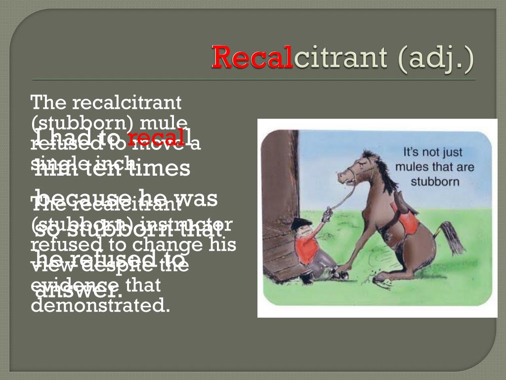 PPT - Sadlier -Oxford Vocabulary Level E PowerPoint Presentation, free ...