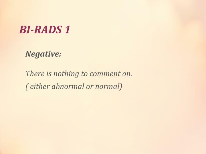 PPT - BI-RADS PowerPoint Presentation - ID:2047877