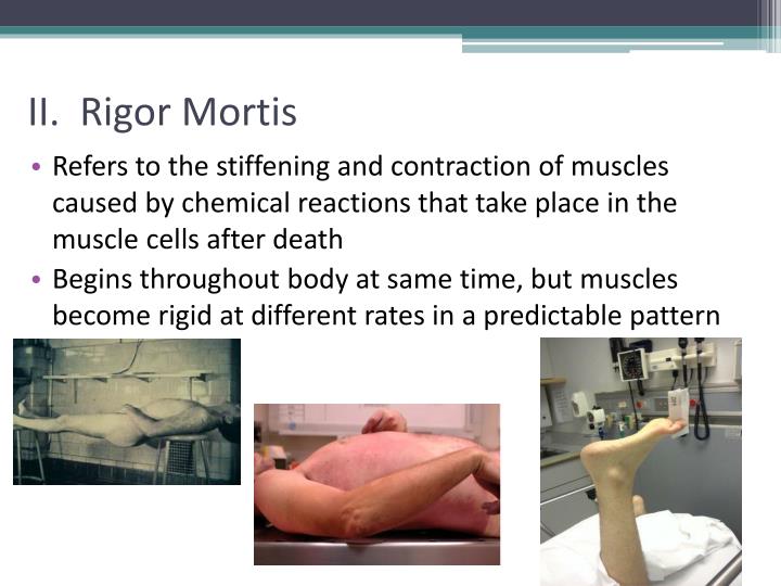 PPT - Time of Death, Decomposition, and Forensic Entomology PowerPoint ...