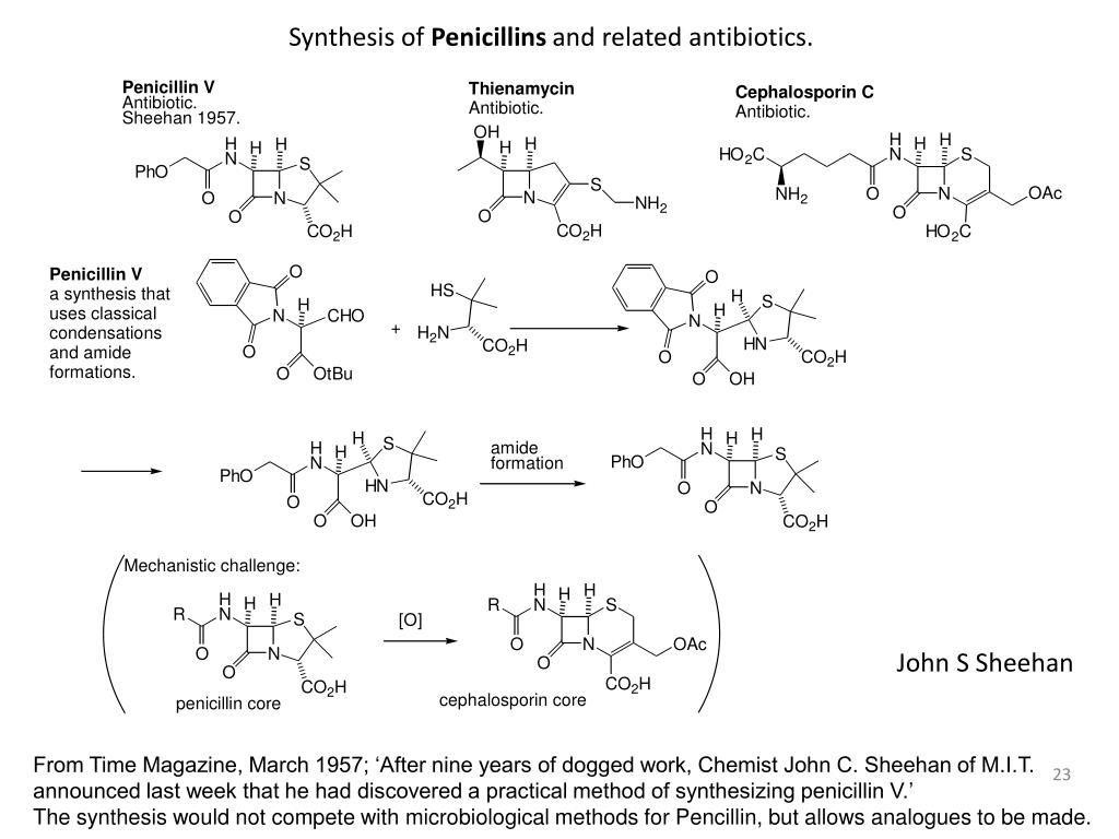 PPT - CH402: Synthetic Chemistry I (Organic) Professor Martin Wills ...