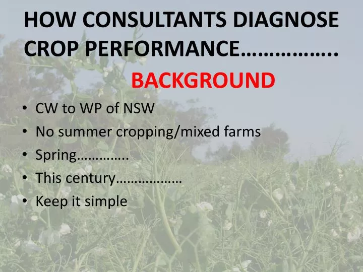 PPT - HOW CONSULTANTS DIAGNOSE CROP PERFORMANCE…………….. PowerPoint ...