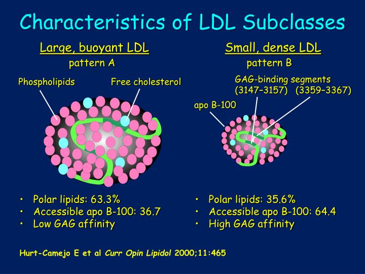 PPT - Diabetic dyslipidemia : The pro- atherogenic role of CETP and ...