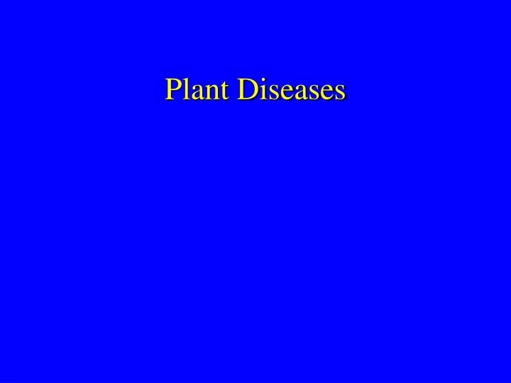 PPT - Plant Diseases PowerPoint Presentation, free download - ID:2048560