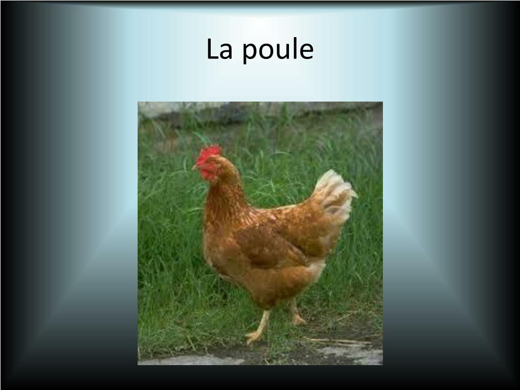 PPT - Les devoirs: Make flashcards with new vocabulary. PowerPoint ...