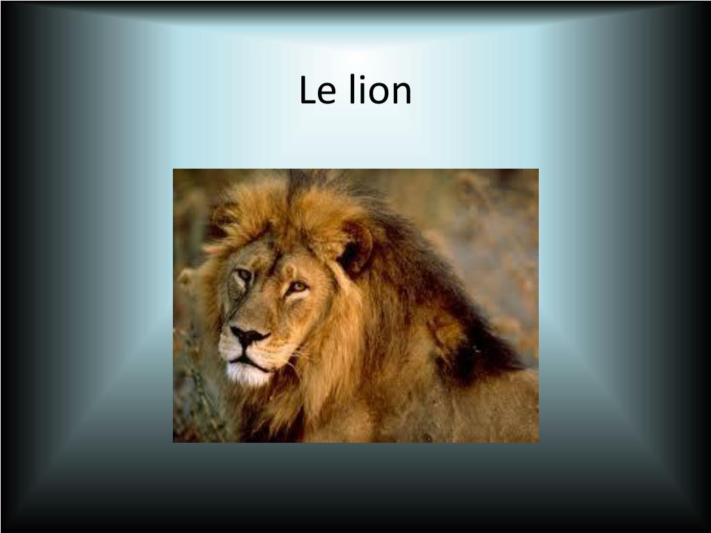 PPT - Les devoirs: Make flashcards with new vocabulary. PowerPoint ...